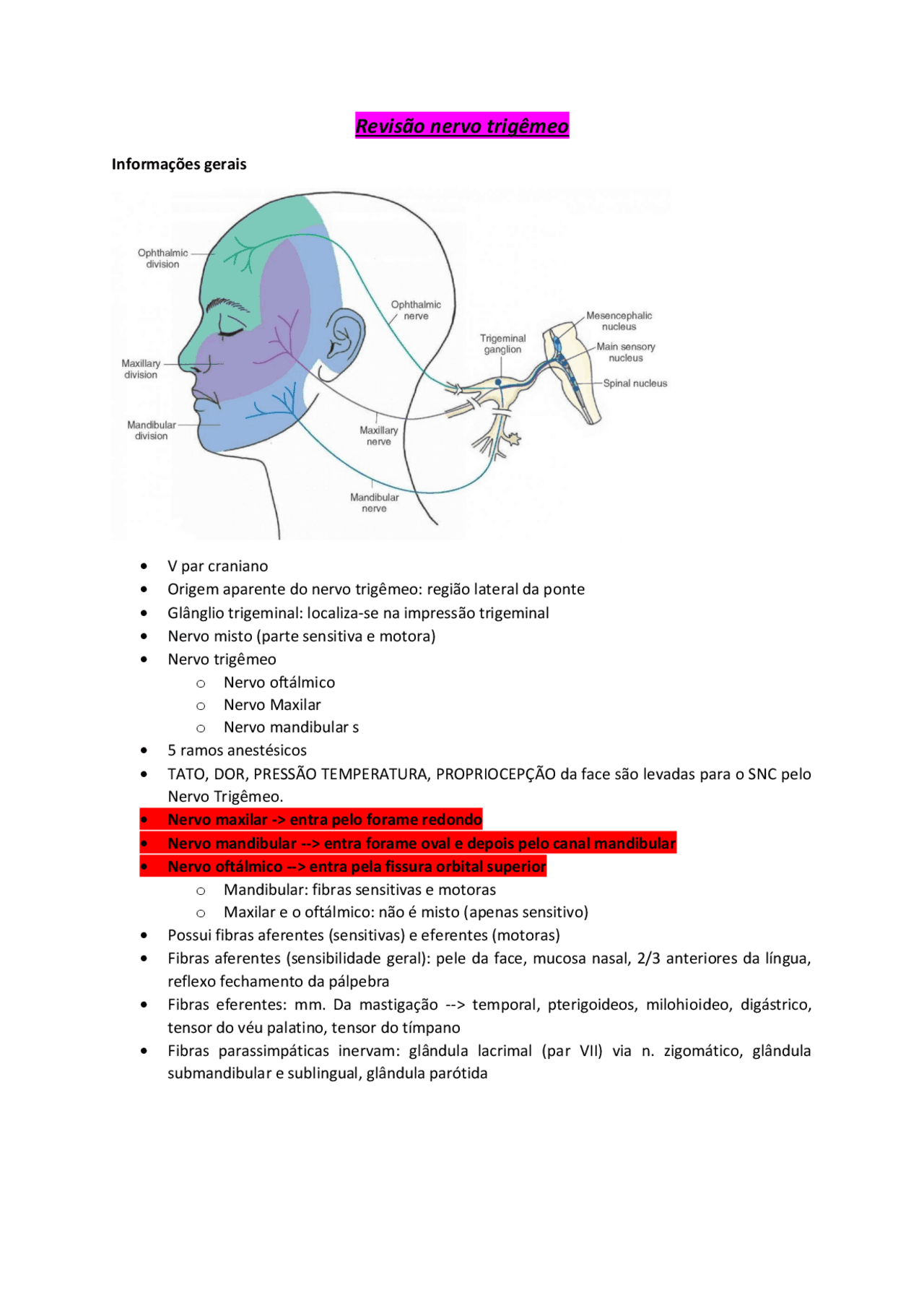Anatomia do nervo trigêmeo - resumo | Notas de aula Anatomia | Docsity