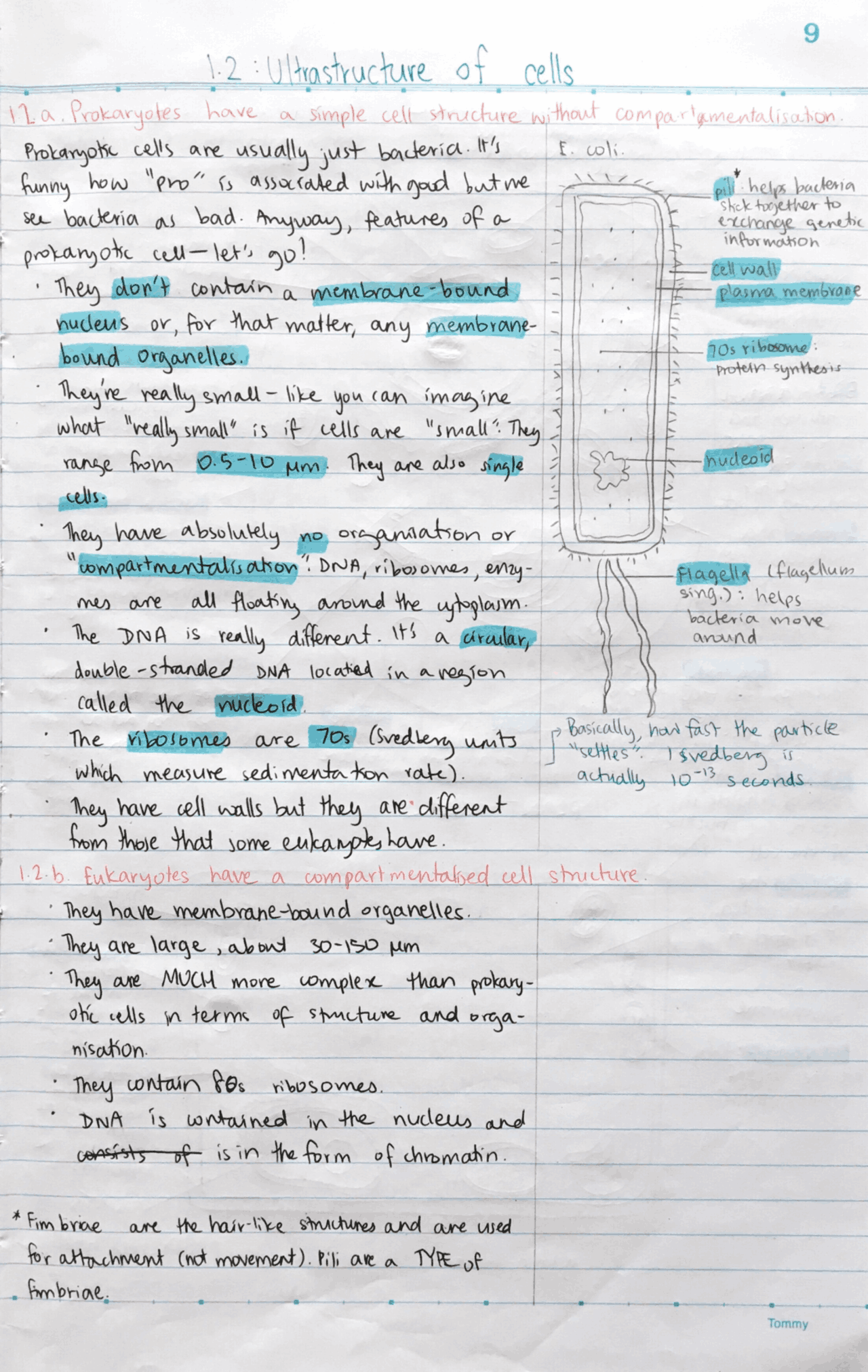 Ultrastructure of cells | Study notes Cell Biology | Docsity