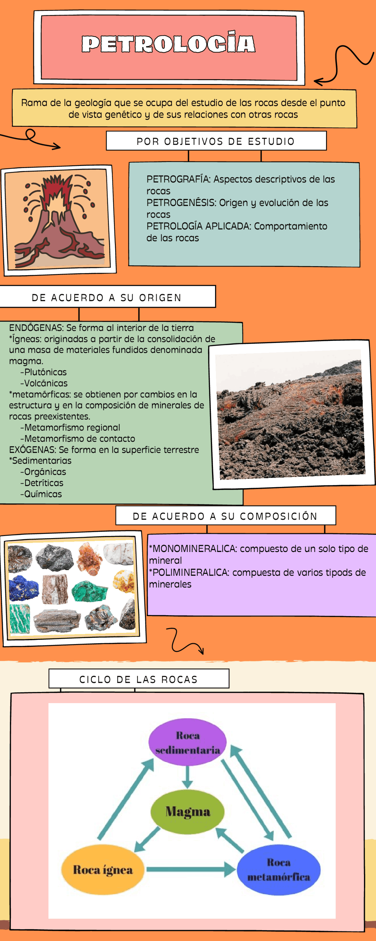 Infografía Procesos Internos De La Tierra Apuntes De Geología Docsity
