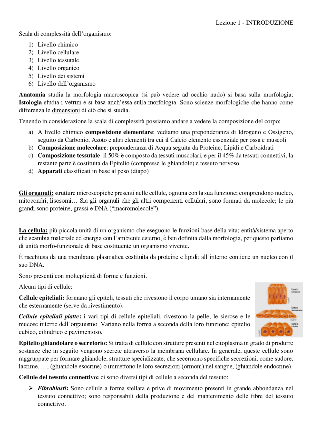Anatomia Generale Per Biotecnologie Appunti Di Anatomia Docsity