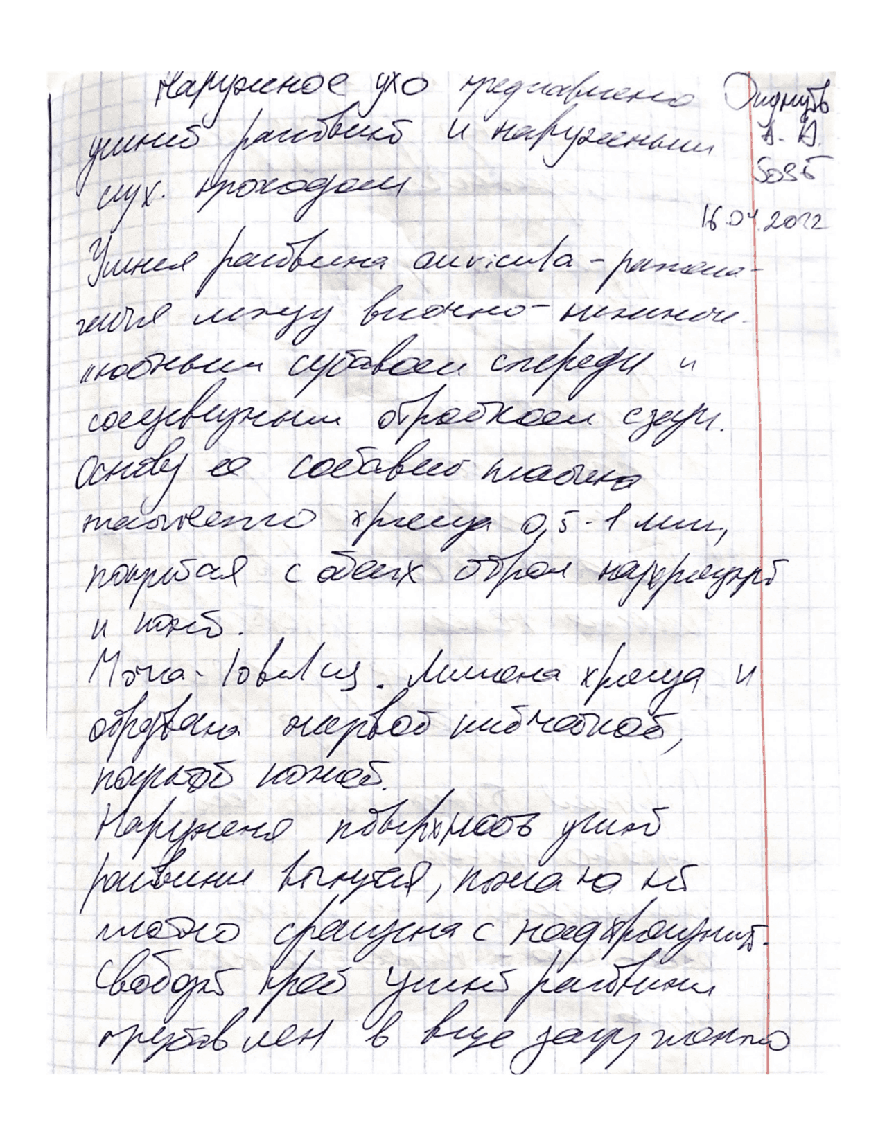 Конспекты к занятиям по гигиене питания Схемы Гигиена питания Docsity