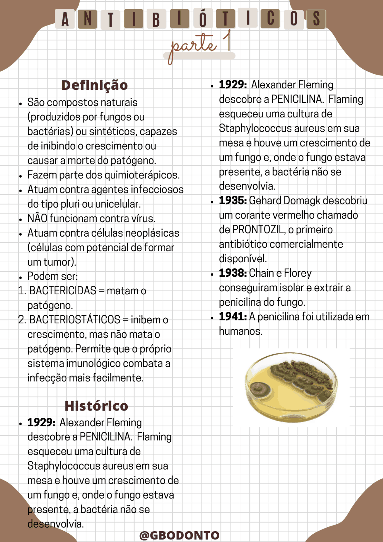 Resumo Antibióticos Esquemas Farmacologia Docsity