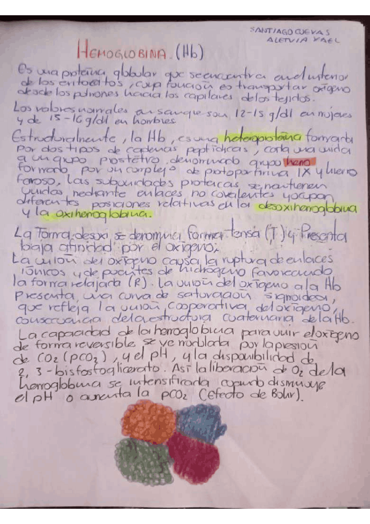 Ciclo De Krebs Hecho A Mano Apuntes De Bioquímica Docsity