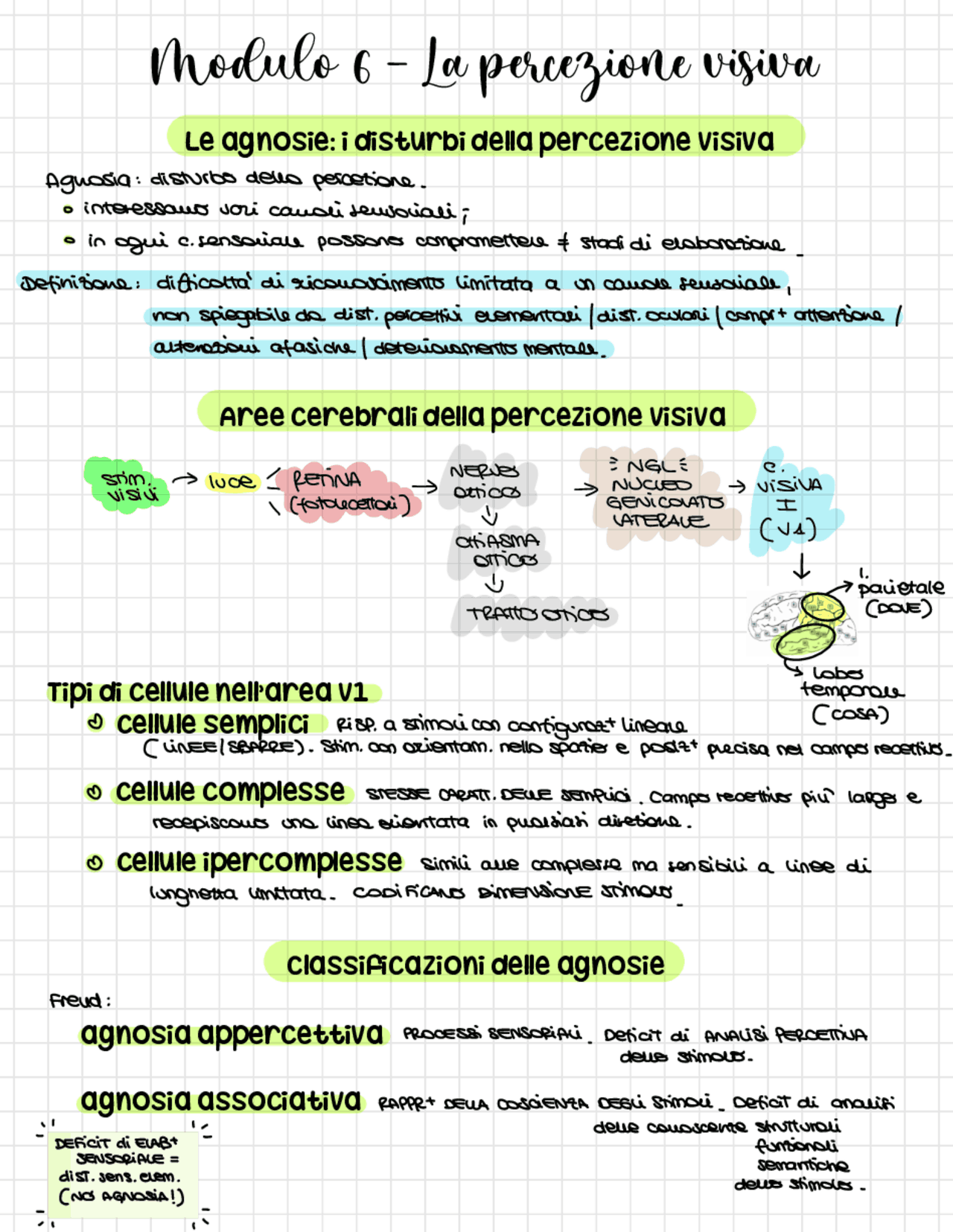 Neuropsicologia Modulo 6 Schemi E Mappe Concettuali Di