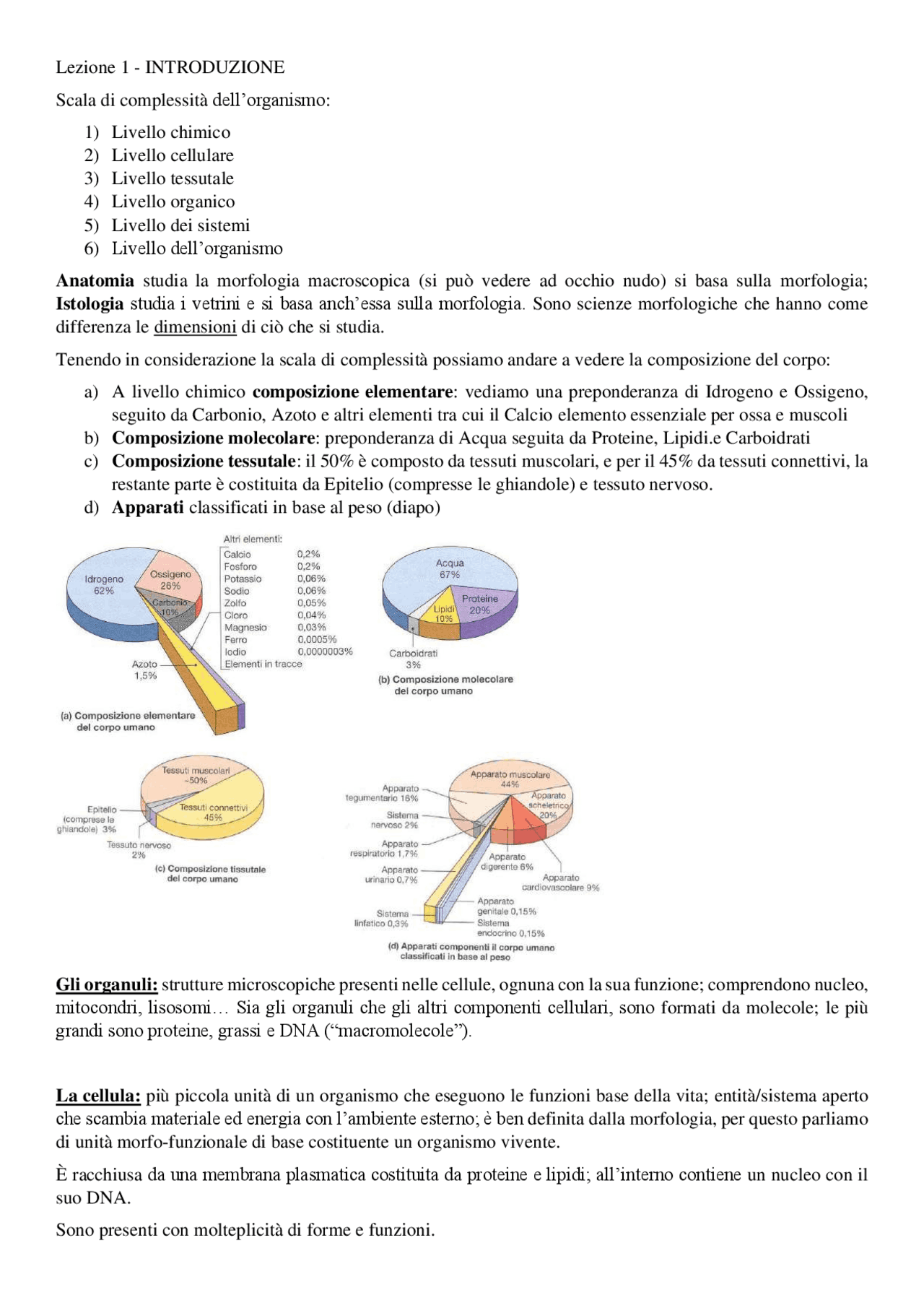 Anatomia Umana Prof Boccafoschi Sbobinature Di Anatomia Docsity