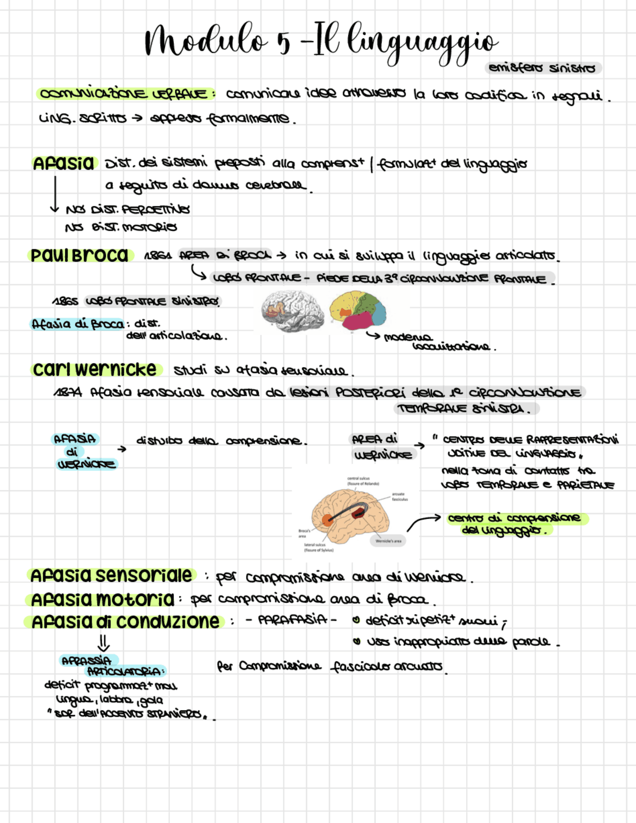 Neuropsicologia Modulo 5 Schemi E Mappe Concettuali Di