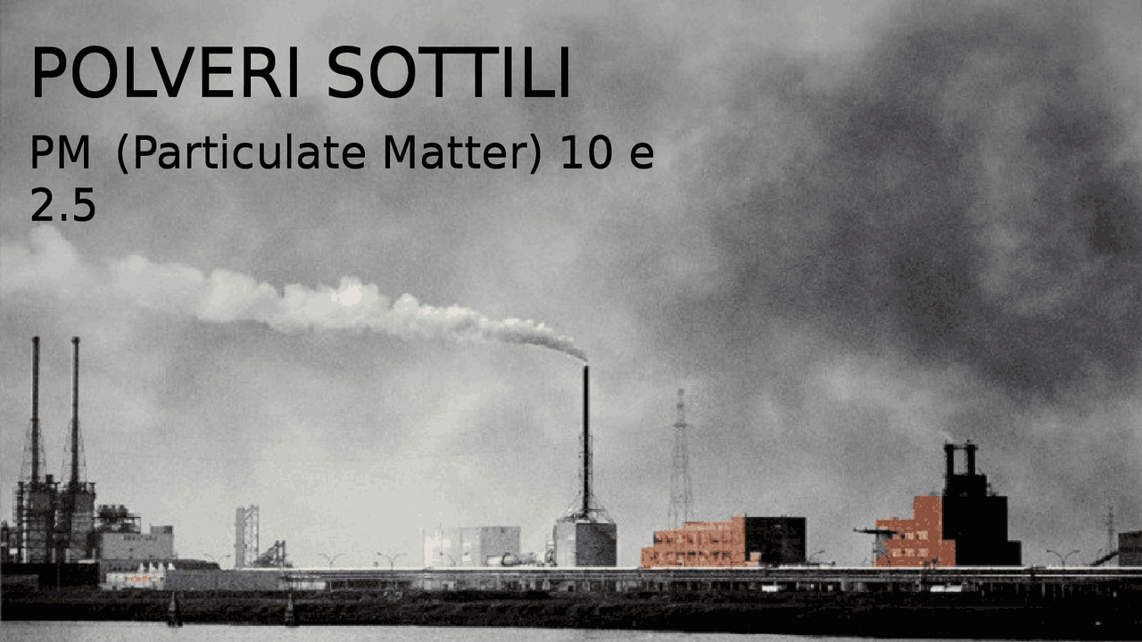 Polveri sottili ricerca | Slide di Scienze della Terra | Docsity