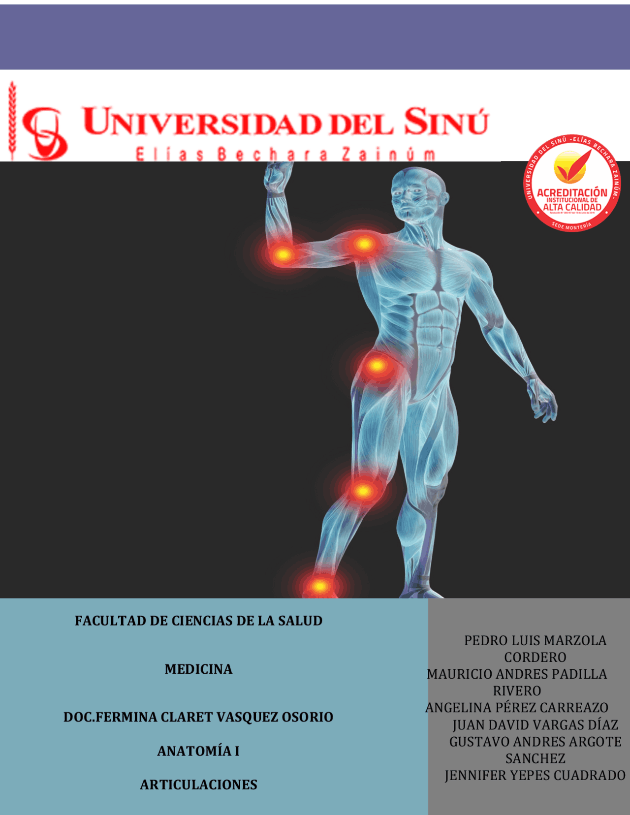 Tipos De Articulaciones Apuntes De Anatomía Docsity