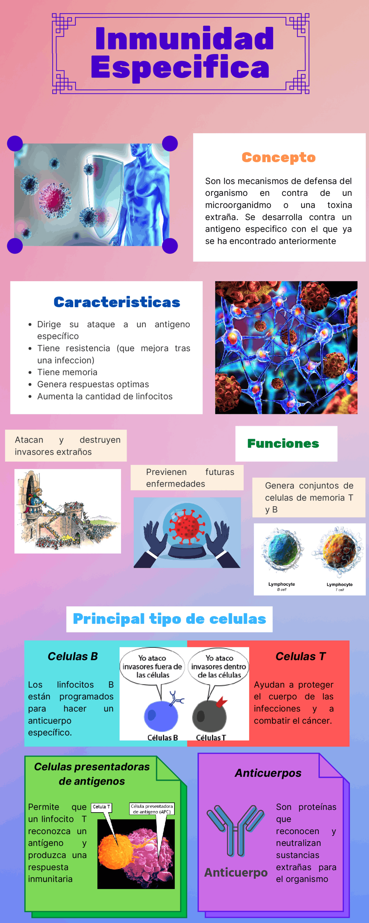 Infografia de inmunidad especifica | Apuntes de Enfermería | Docsity