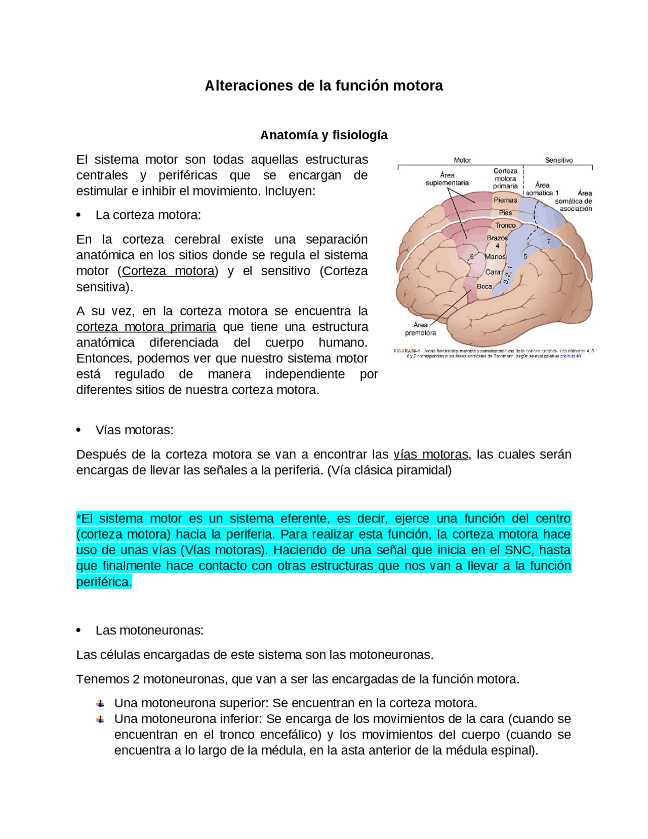 Fisiopatología - Alteración de la función motora | Apuntes de ...