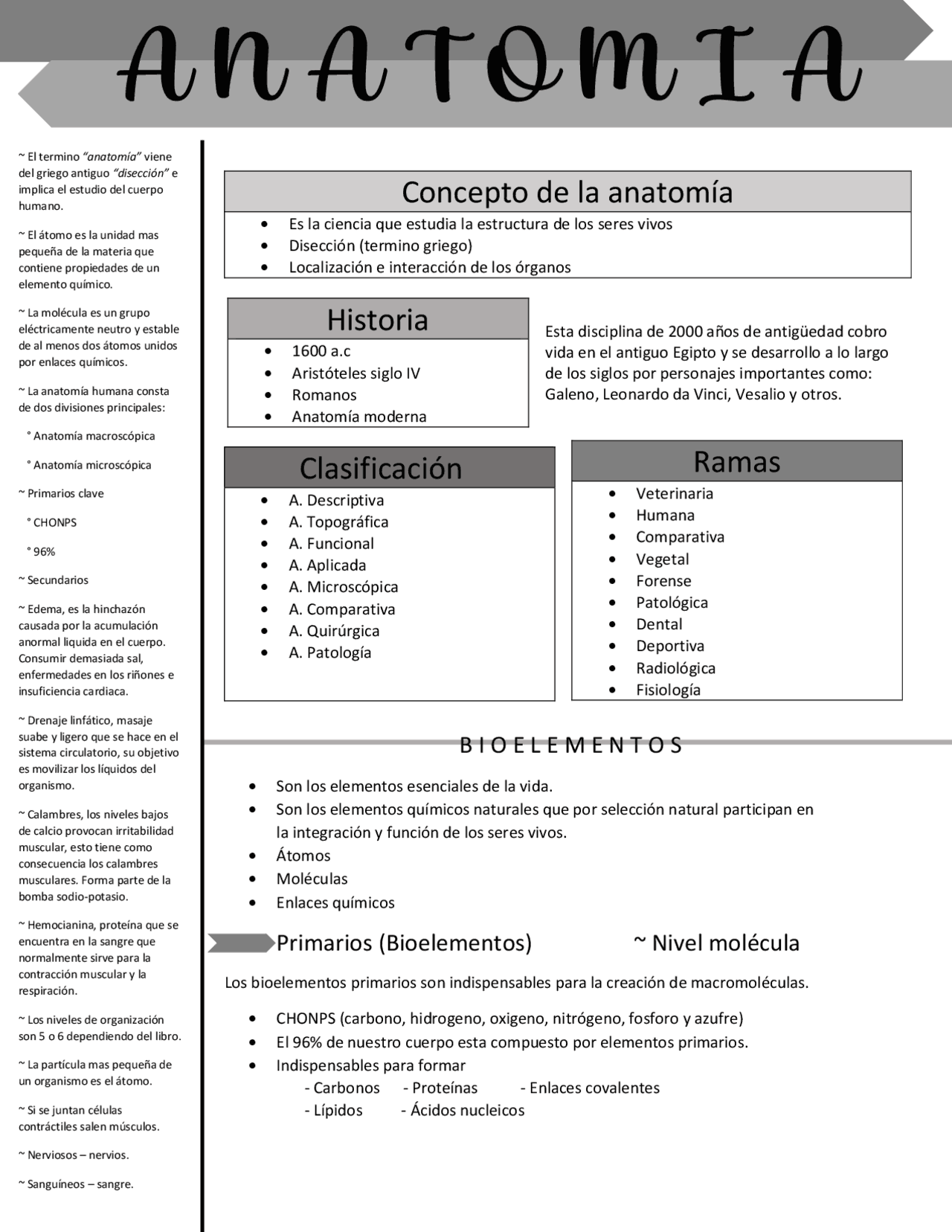 Introduccion A La Anatomia Apuntes De Anatomía Docsity