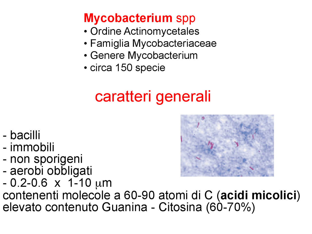 Slide Di Microbiologia Slide Di Microbiologia E Batteriologia Docsity