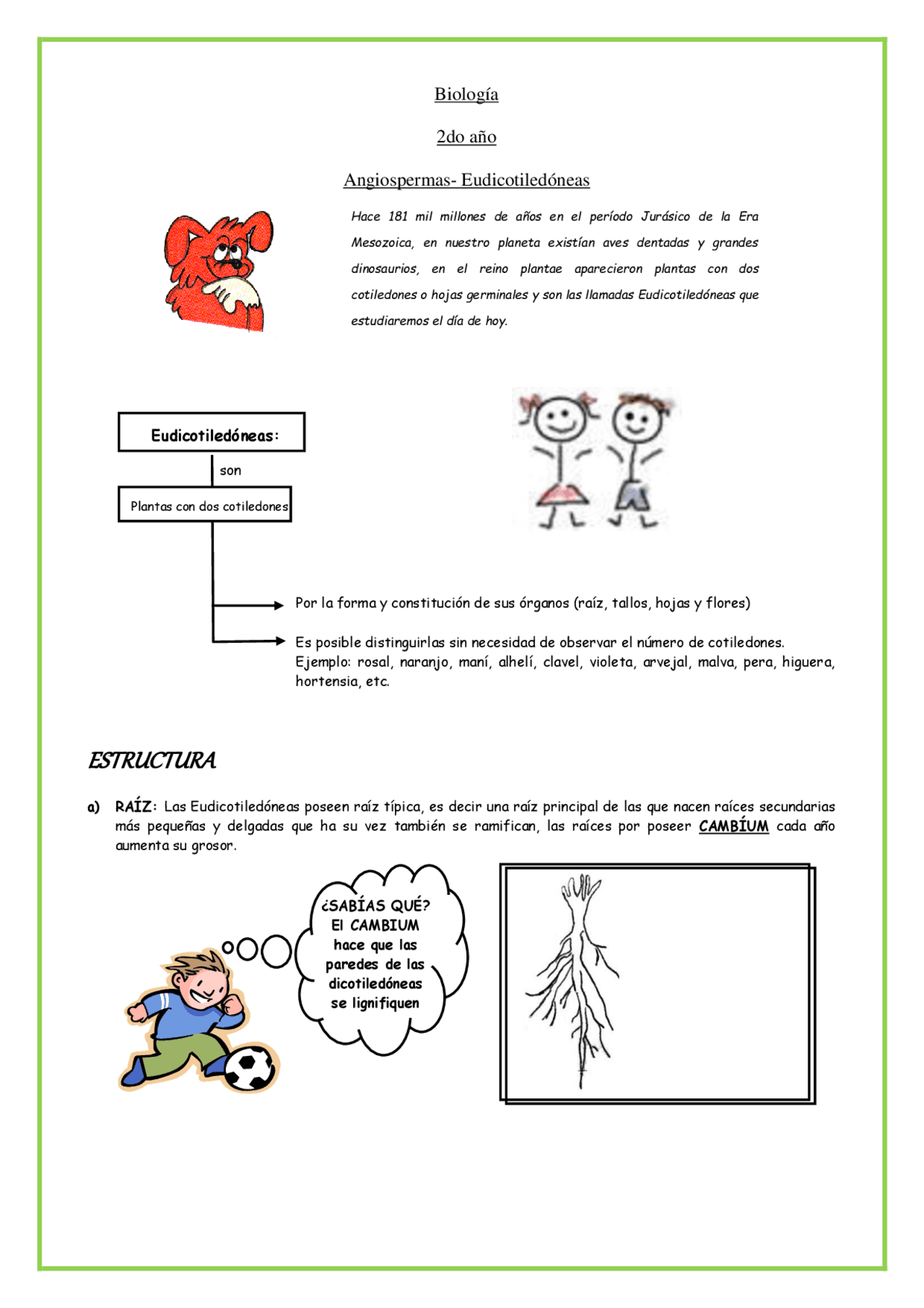 Monocotiledoneas Y Dicotiledoneas Para Segundo De Monografías