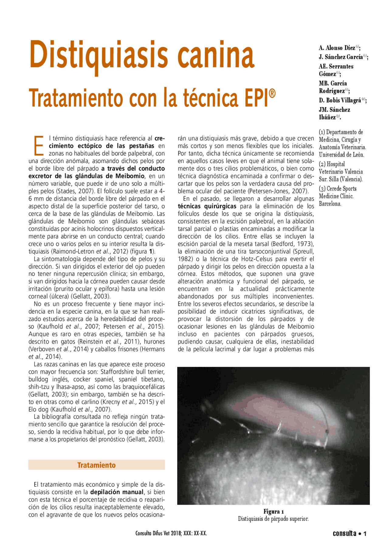 Distiquiasis canina | Epi Advanced | Monografías, Ensayos de ...