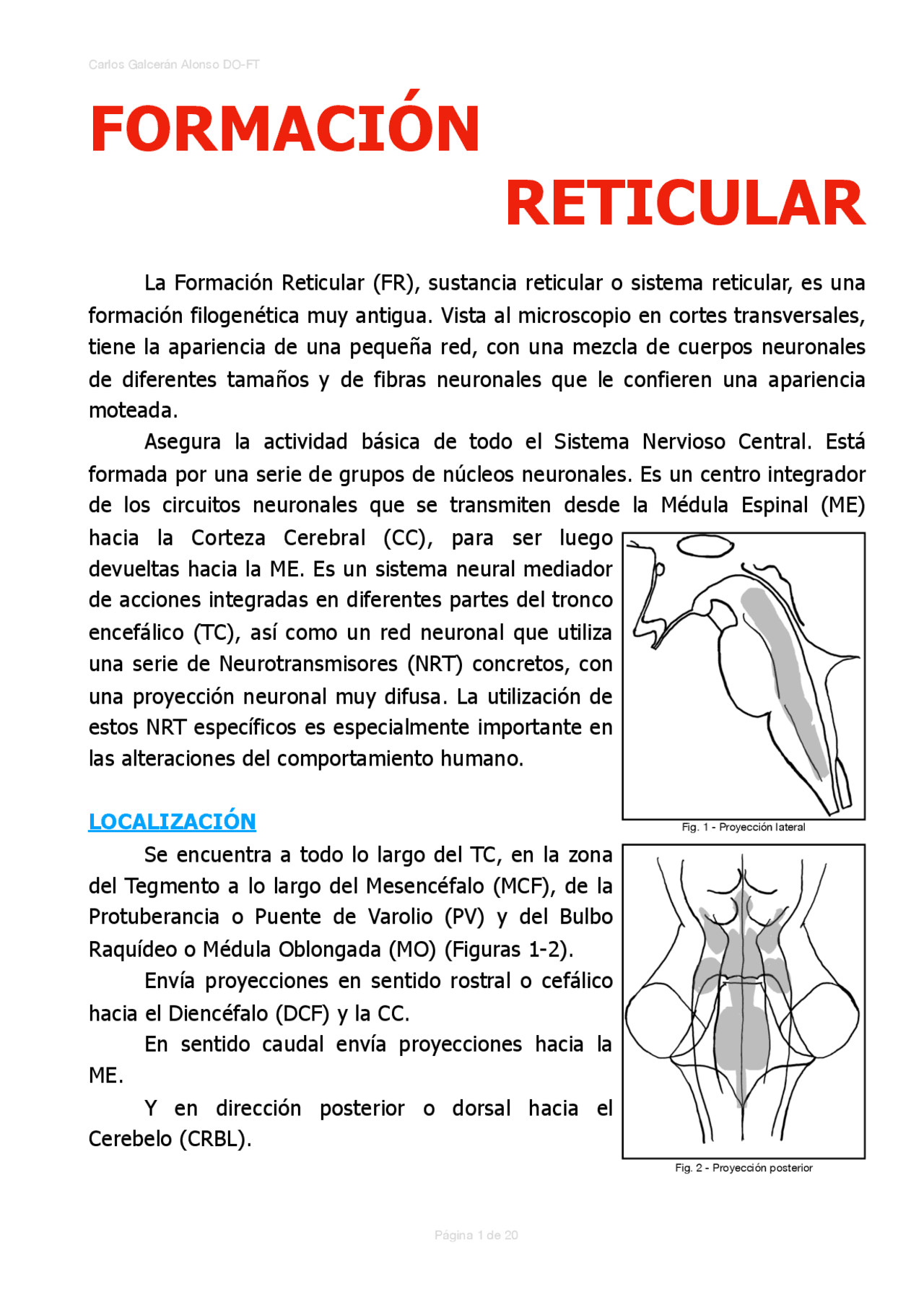 FORMACIÓN RETICULAR | Apuntes de Anatomía | Docsity