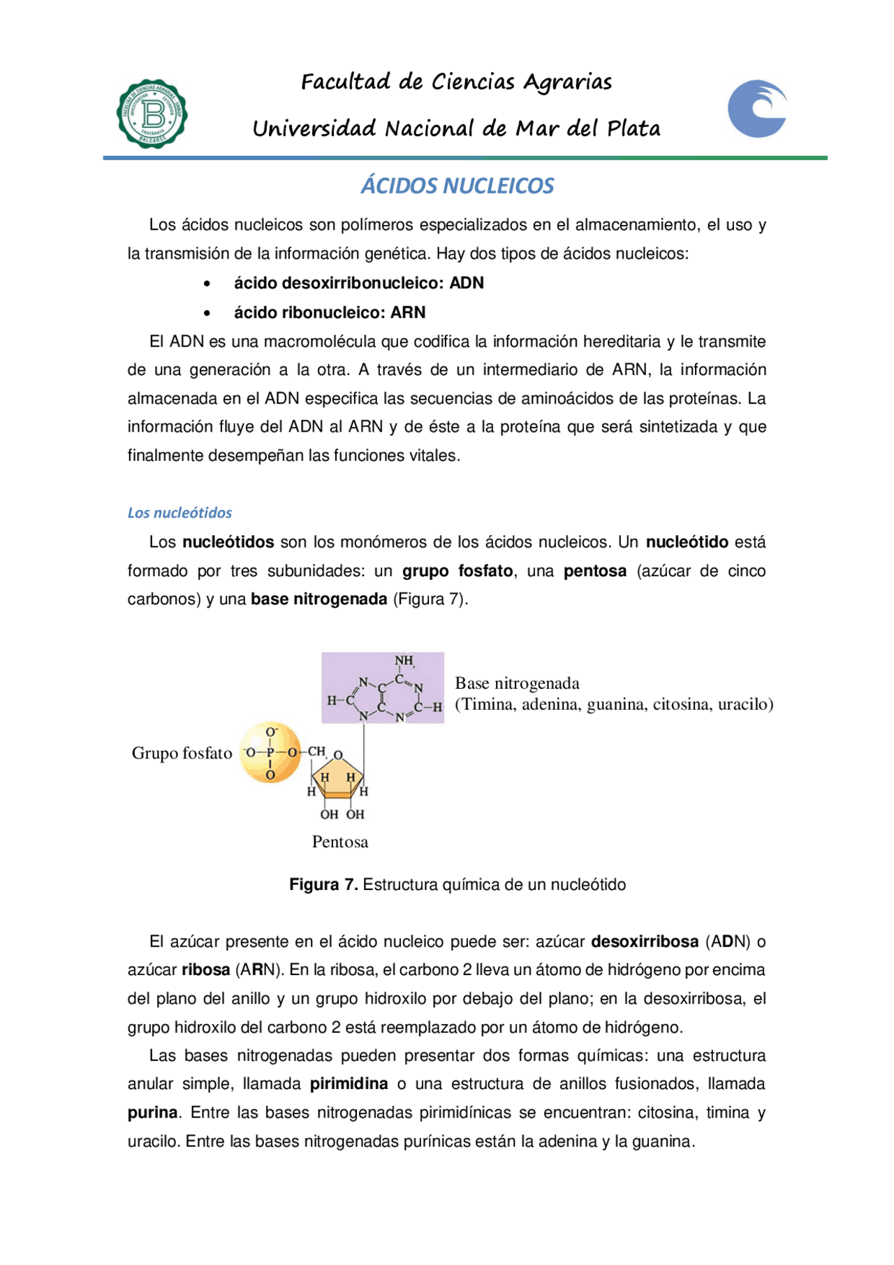 Ácidos Nucleicos Apuntes De Ciencias Docsity