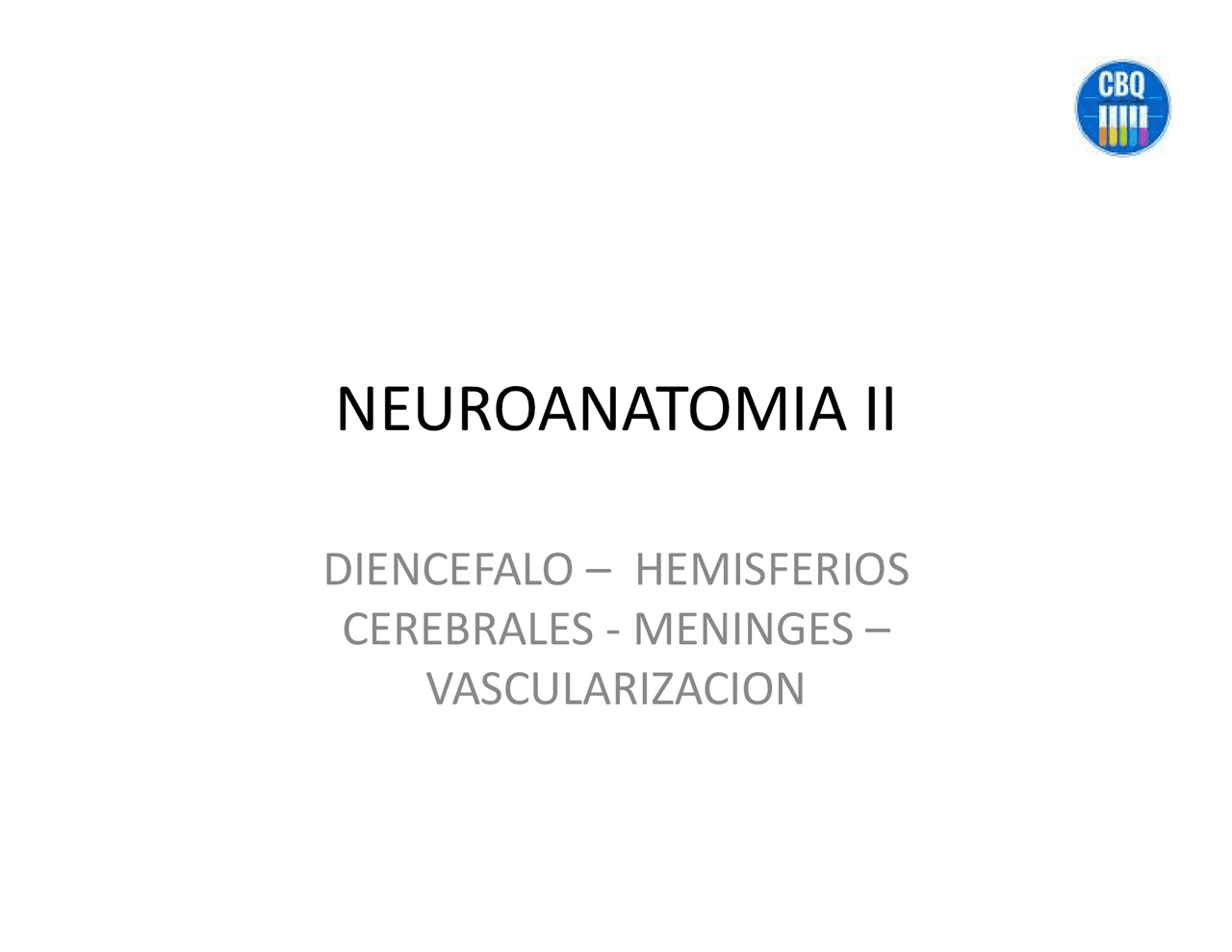 Neuroanatomia Ii Apuntes De Neuroanatomía Docsity