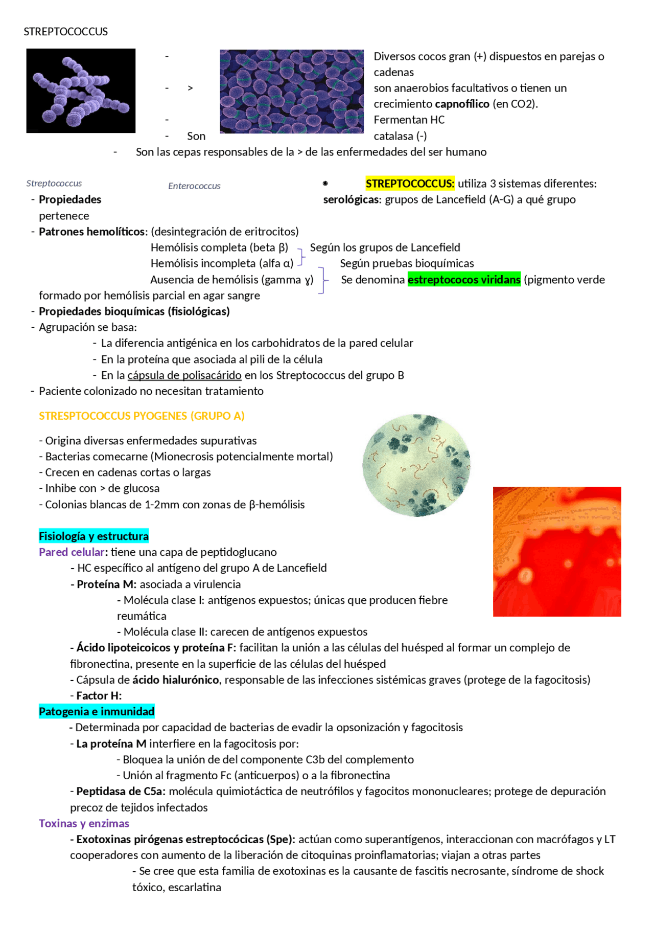 Resumen De Streptococcus Apuntes De Microbiología Docsity