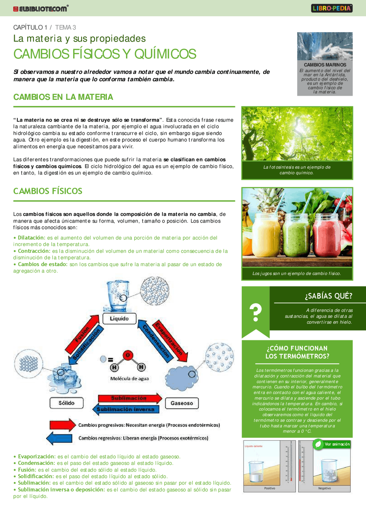 Hoja De Trabajo Sobre Cambios Físicos O Químicos