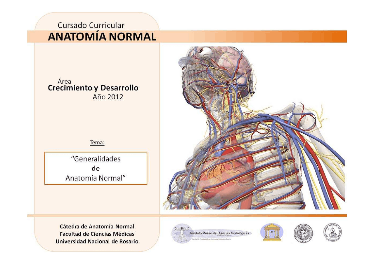 Seminarios De Anatomía Normal Monografías Ensayos De Anatomía Docsity
