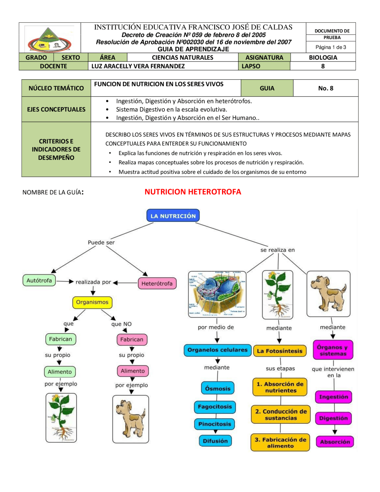 NUTRICION HETEROTROFA | Apuntes de Nutrición | Docsity
