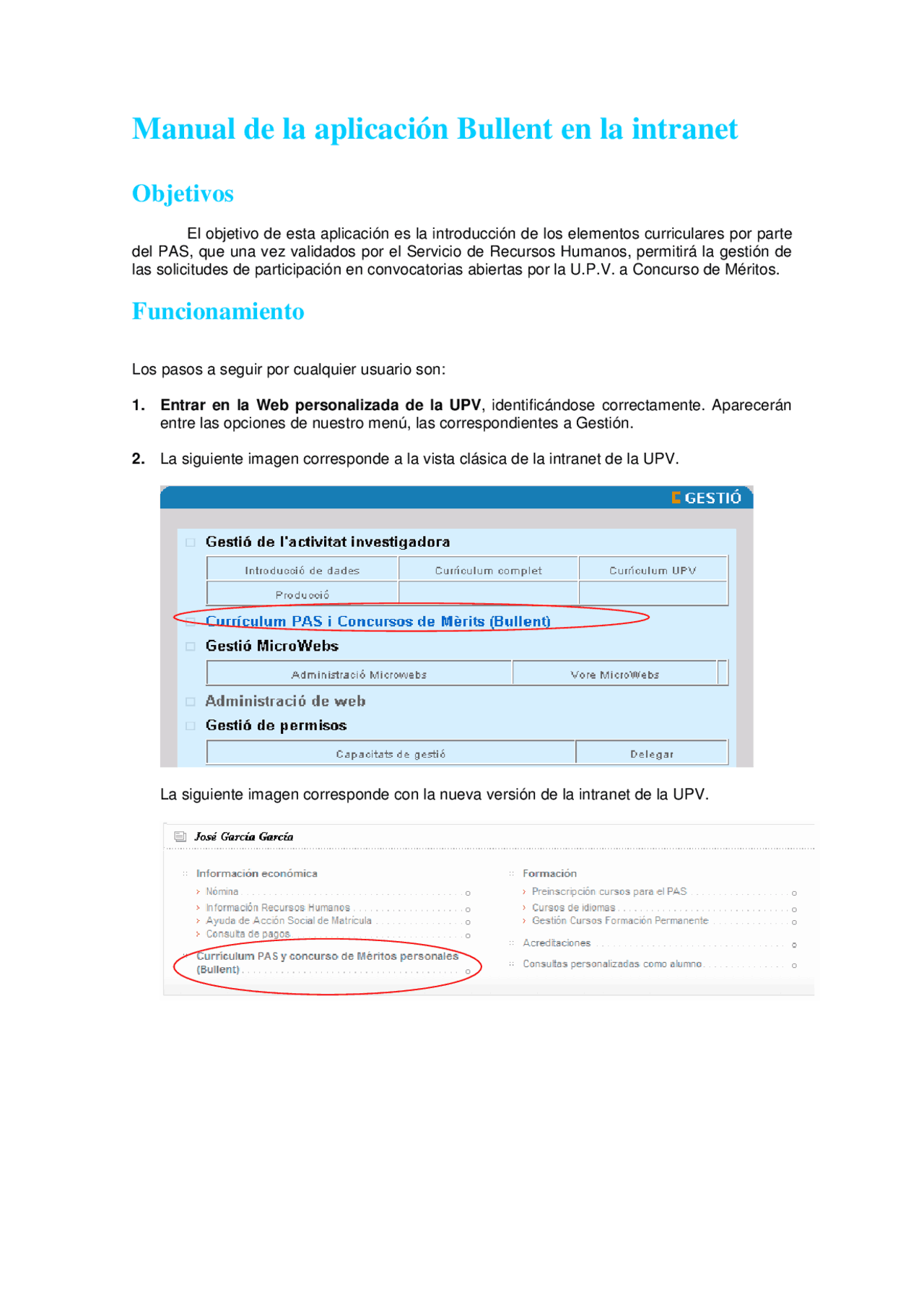 Manual de la aplicación Bullent en la intranet | Resúmenes de ...