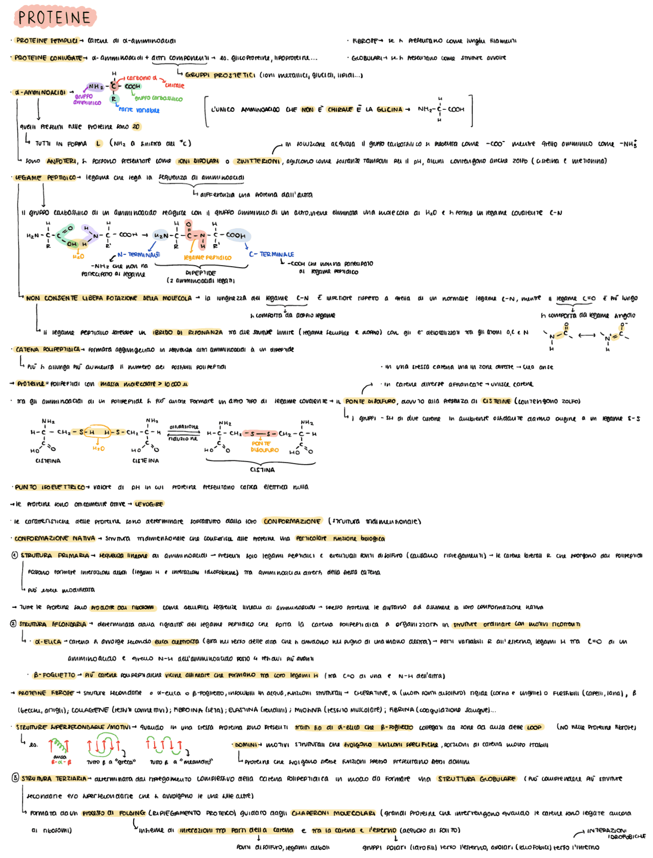 Proteine: struttura e proprietà | Schemi e mappe concettuali di Biologia | Docsity