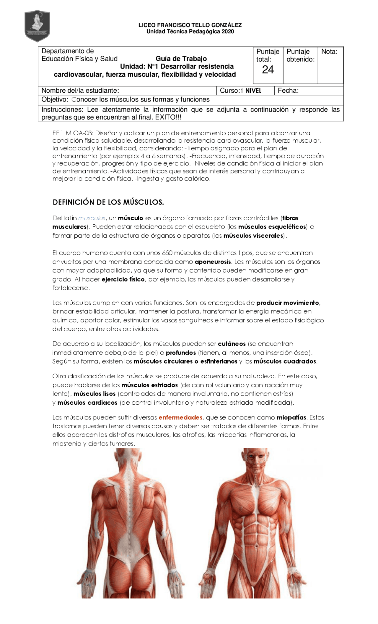 DEFINICIÓN DE LOS MÚSCULOS. | Exámenes de Latín | Docsity