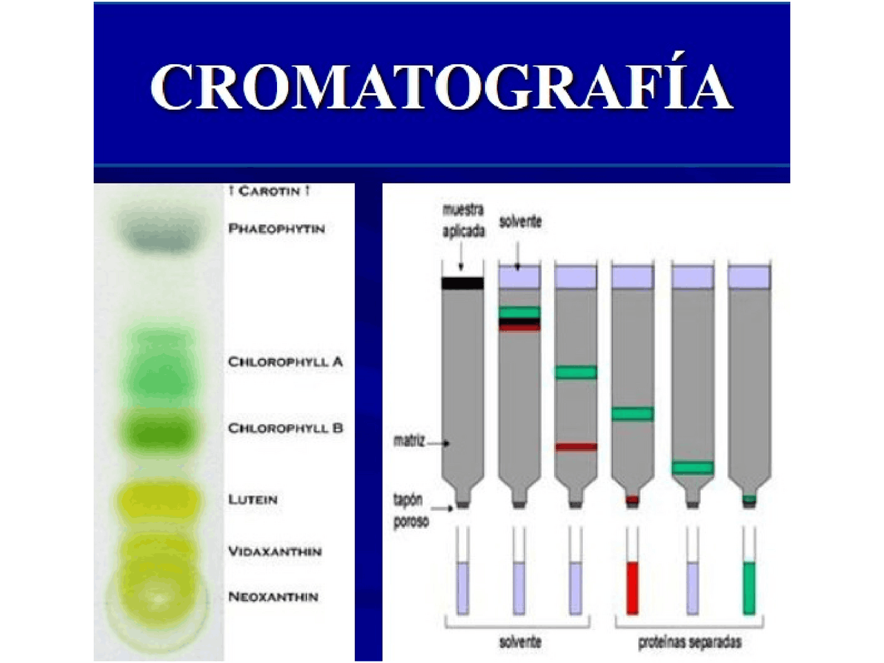 Informe De Calorimetria Apuntes De Química Docsity