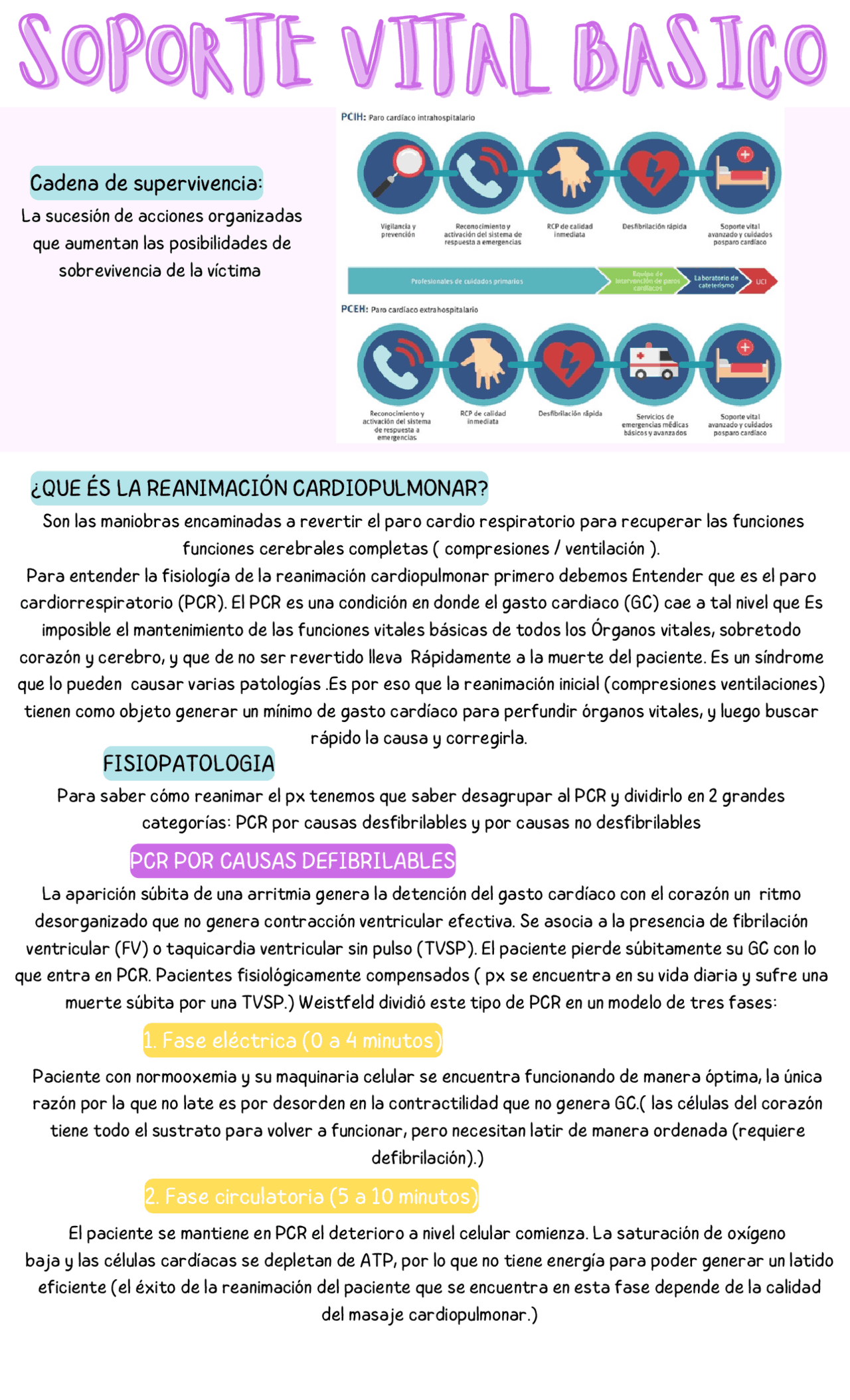 Soporte Vital Basico Resúmenes De Anestesiología Docsity