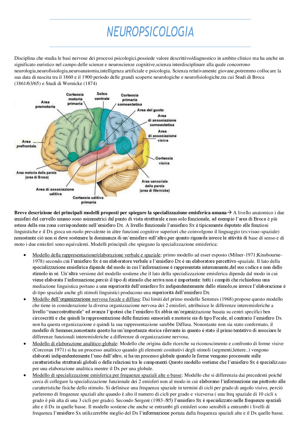 Riassunto del programma di neuropsicologia prof marco cavallo | Schemi ...