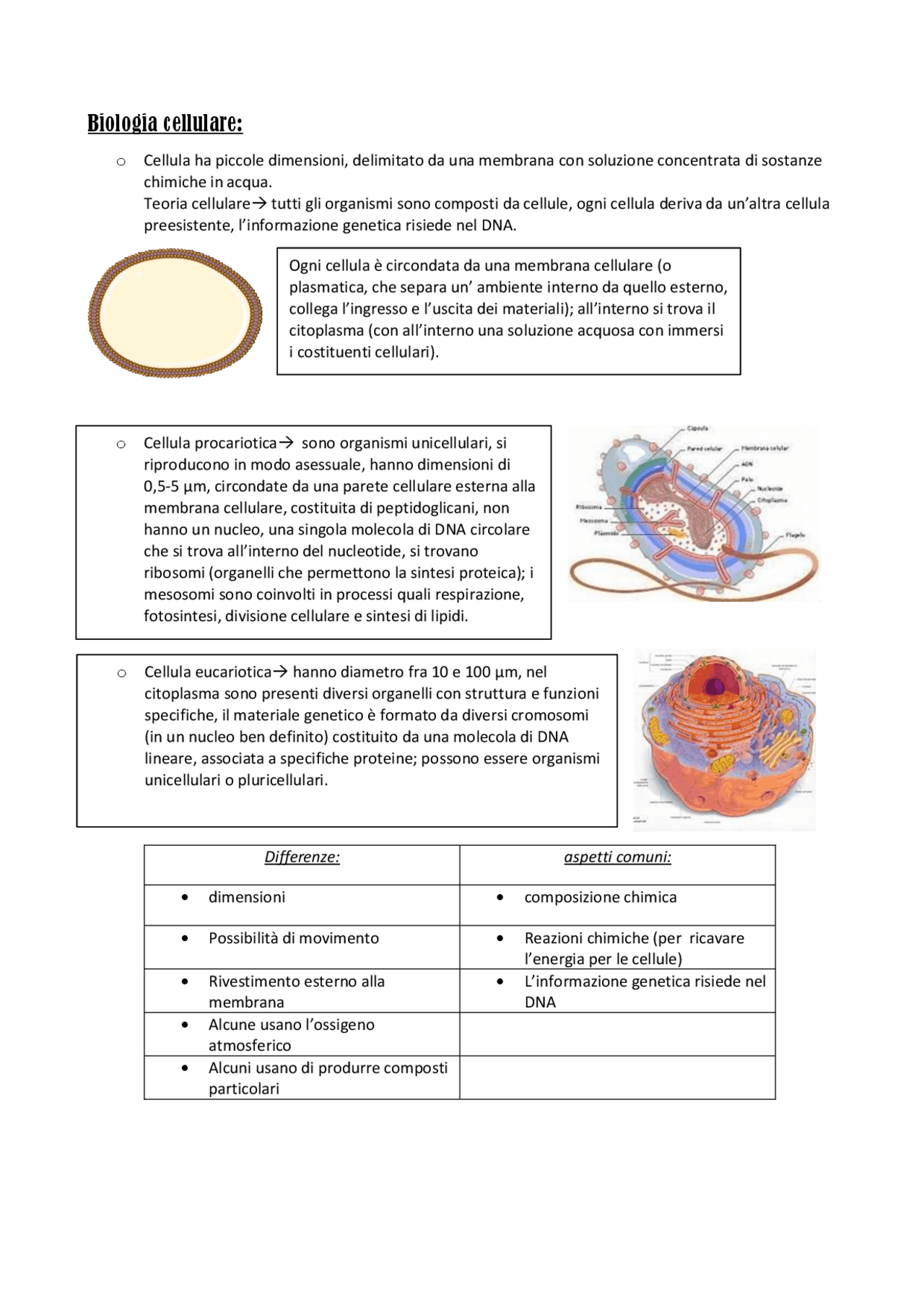 Alphatest Riassunto Biologia Cellulare Schemi E Mappe Concettuali