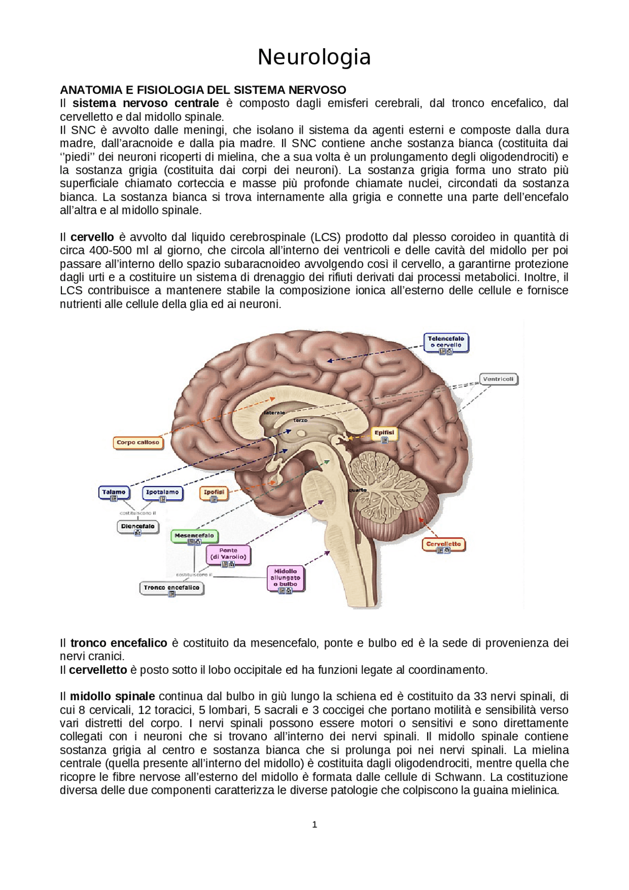 Neurologia Infermieristica Dispense Di Neurologia Docsity