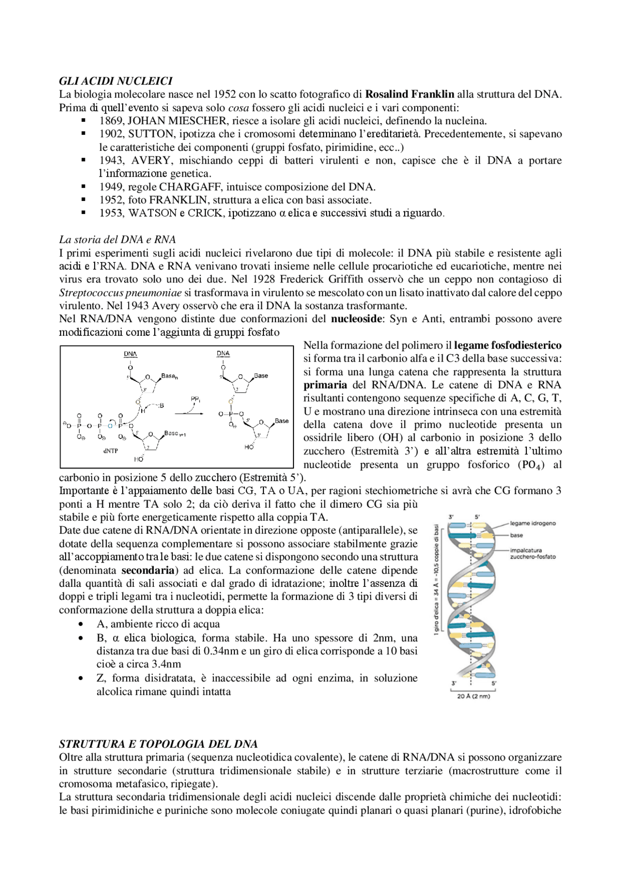 Appunti Integrati A Slide Di Biologia Molecolare Triennale Scienze