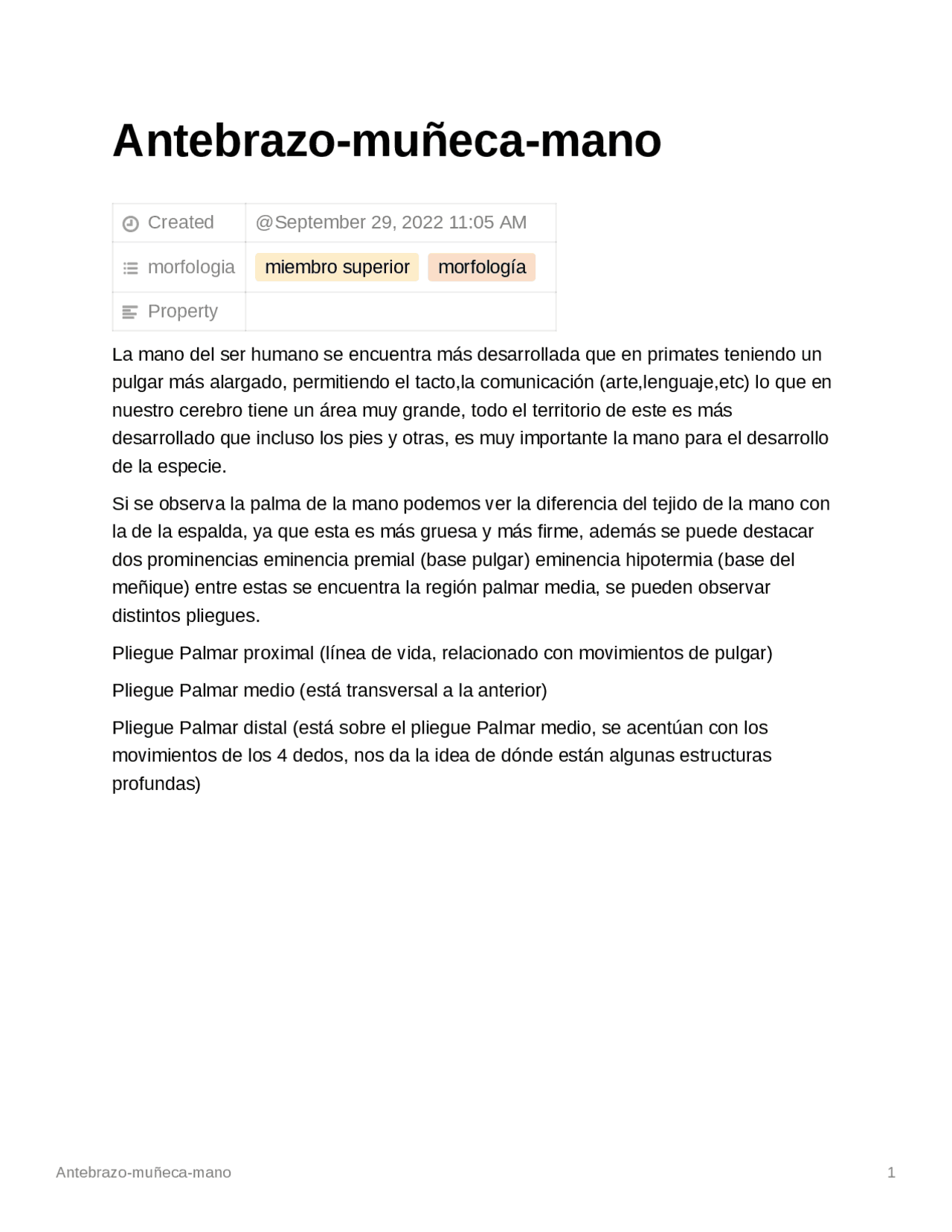 Resumen Brazo Antebrazo Codo Resúmenes De Anatomía Aplicada Docsity