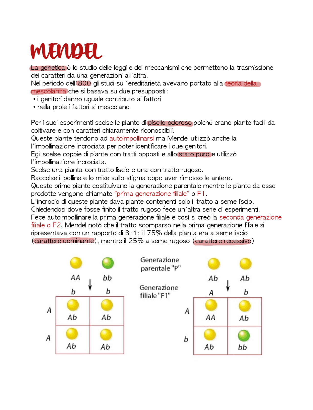 La Genetica E Mendel Appunti Brevi E Schema Appunti Di Scienze Della