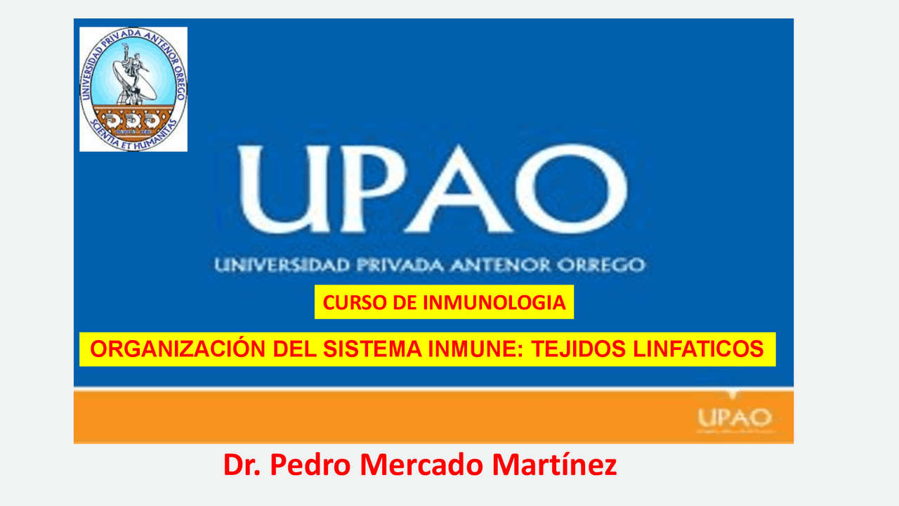 Tejido Linfoide Semana 01 Resúmenes De Inmunología Docsity
