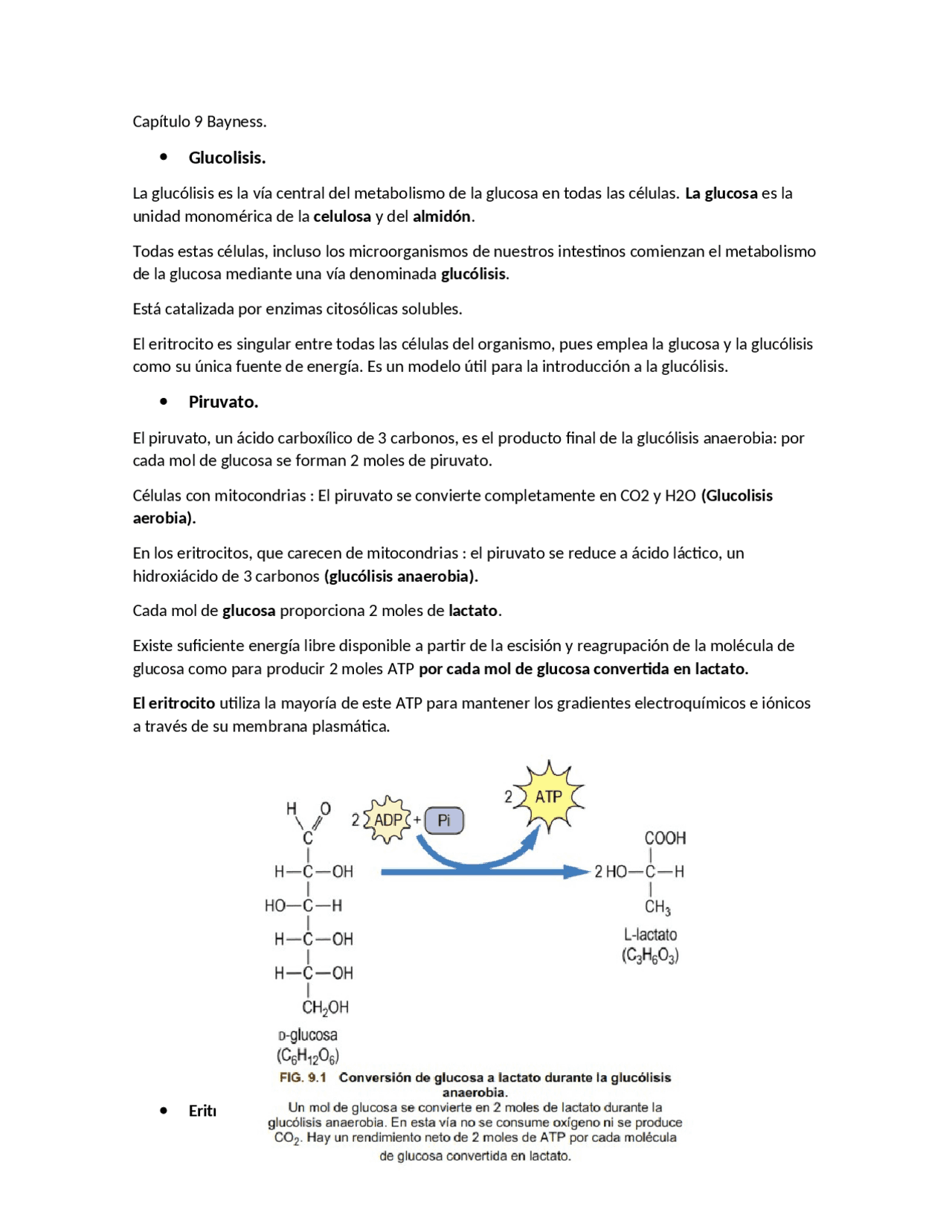 Resumen de cap byness | Resúmenes de Bioquímica | Docsity