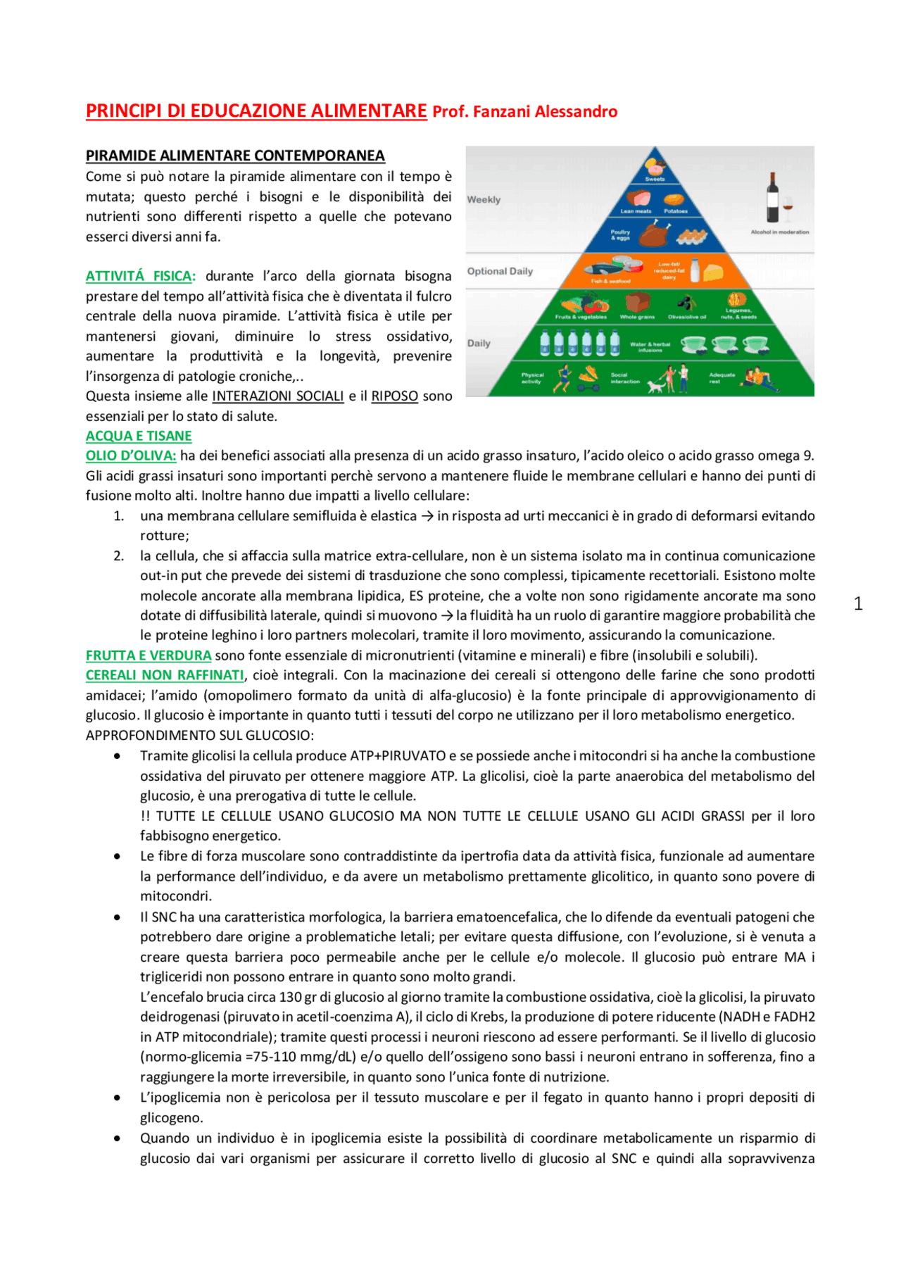Principi Di Educazione Alimentare Appunti Di Scienze Motorie Docsity