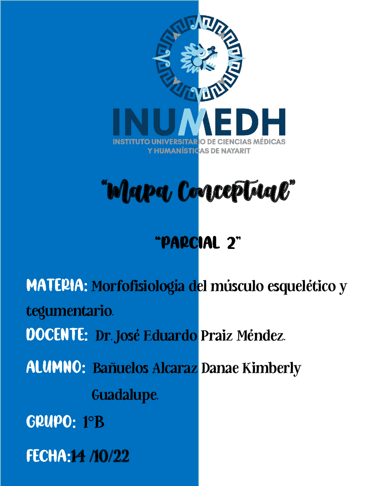 Articulaciones De La Cabeza Resúmenes De Anatomía Docsity