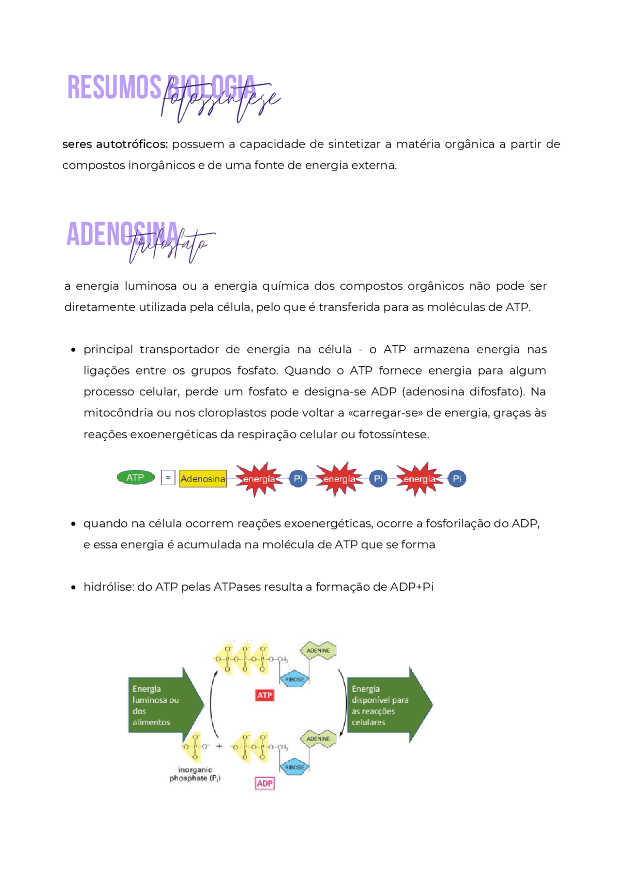 Fotossíntese - resumo biologia 11ano | Notas de estudo Biologia | Docsity
