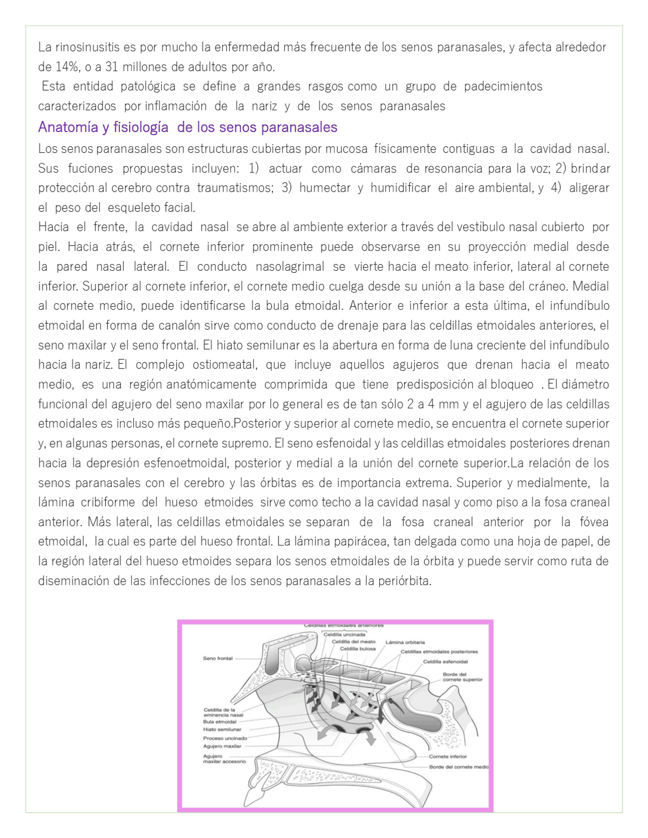 Resumen De Unidad Sinusitis Resúmenes De Otorrinolaringología Docsity