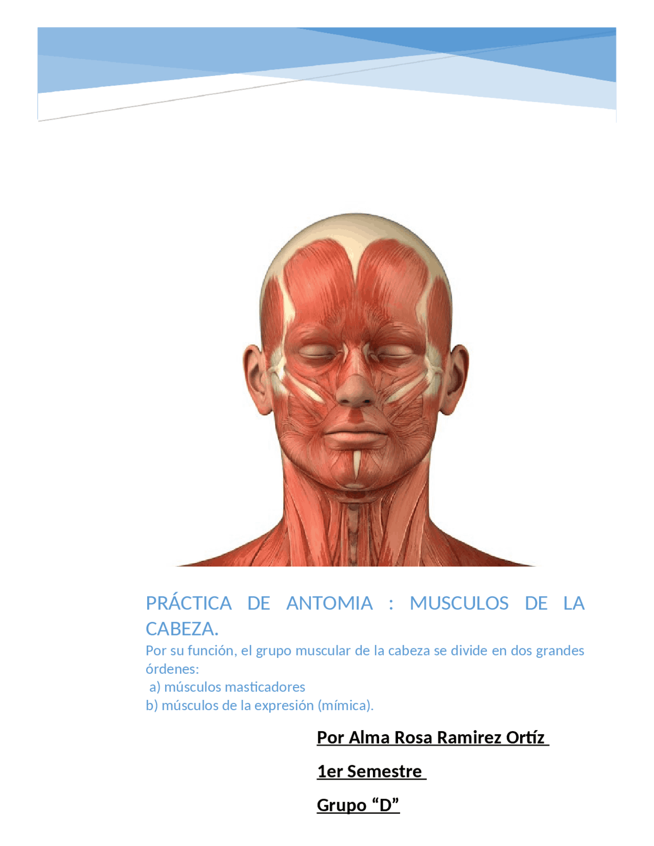 Músculos Cabeza Y Cuello Esquemas Y Mapas Conceptuales De Anatomía