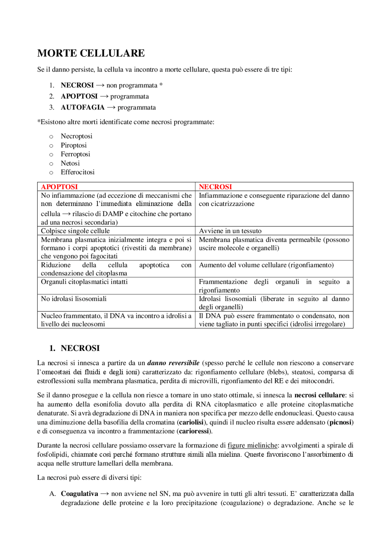Morte cellulare (necrosi, apoptosi e autofagia) | Schemi e mappe concettuali di Patologia | Docsity
