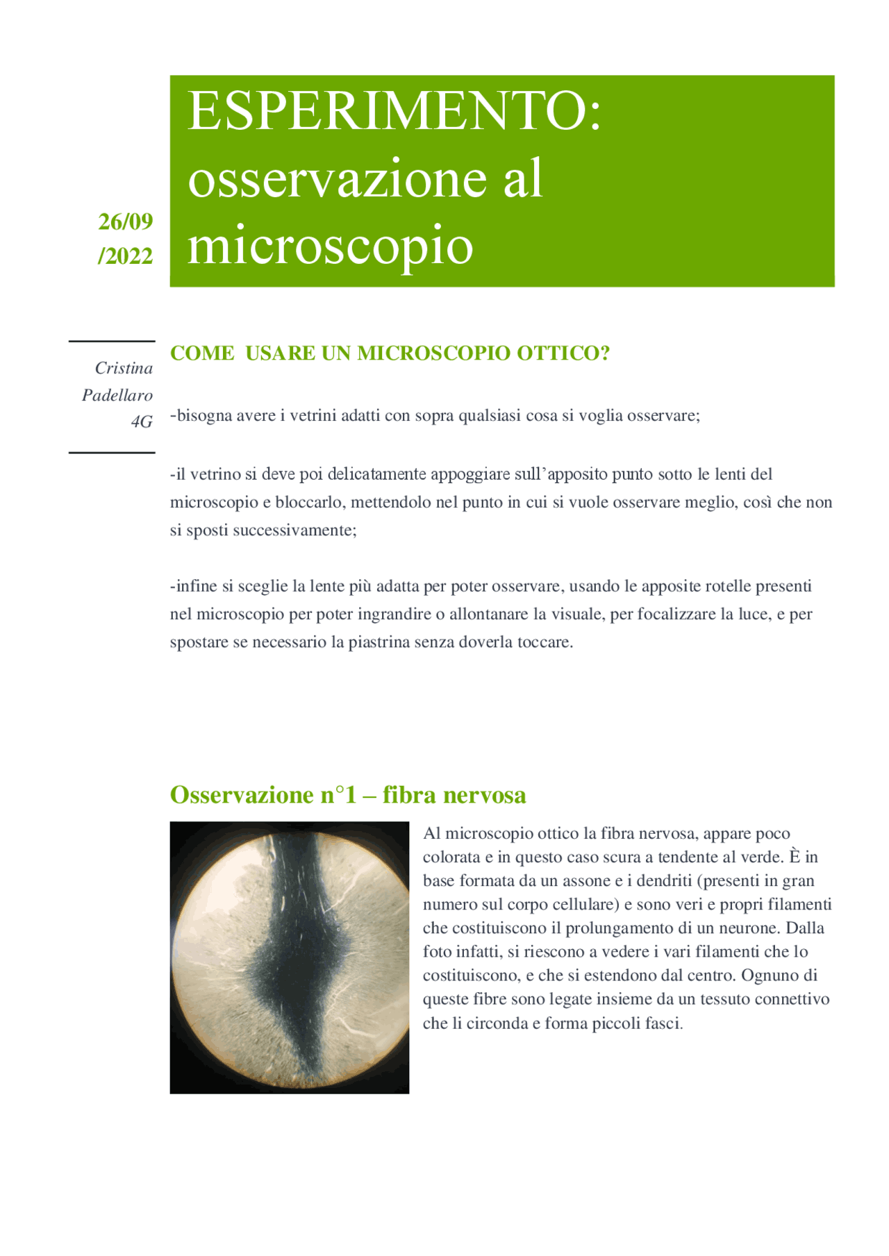 Osservazione Tessuti Slide Di Scienze Umane Docsity