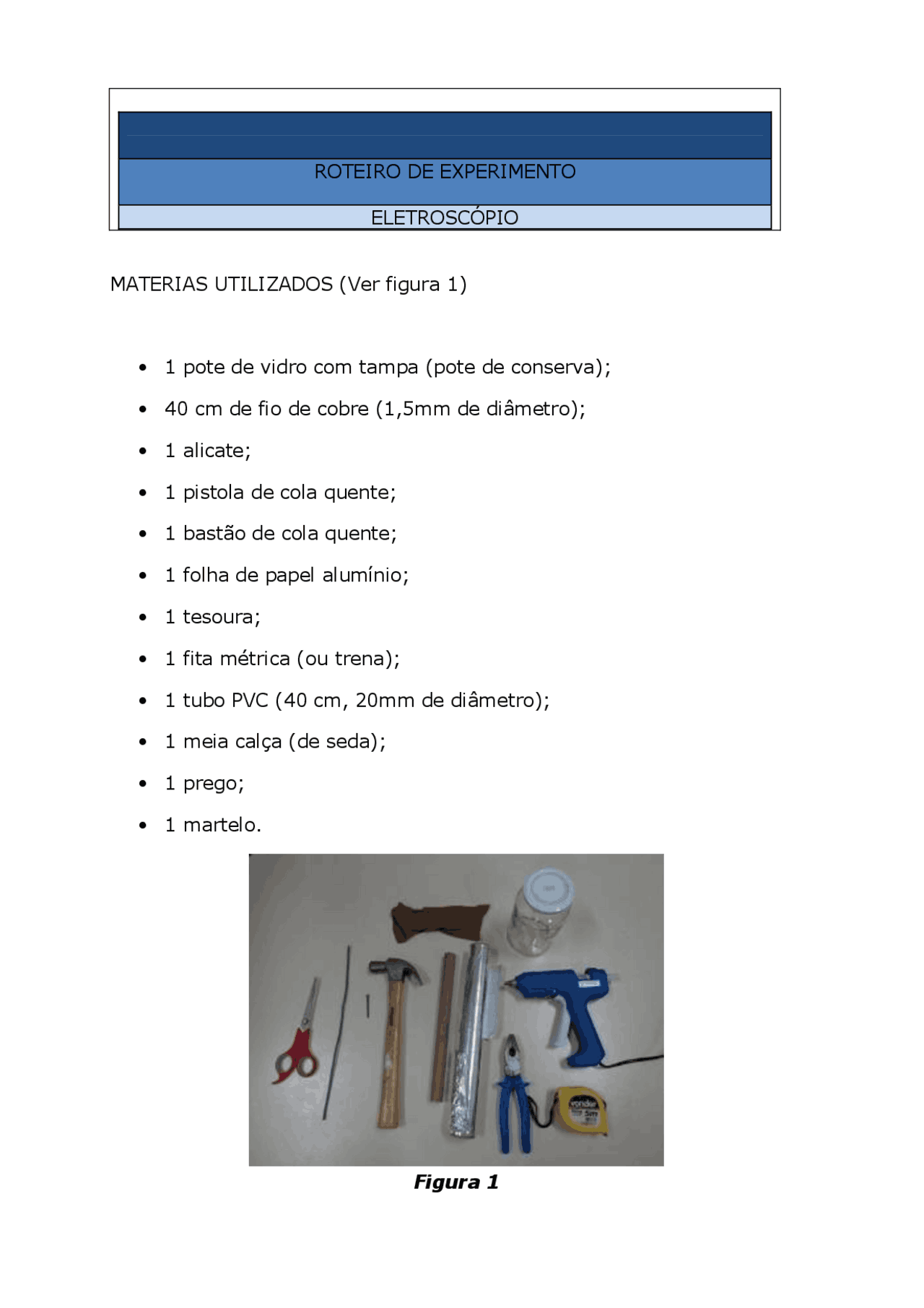 Roteiro Eletroscopio Esquemas Física Docsity