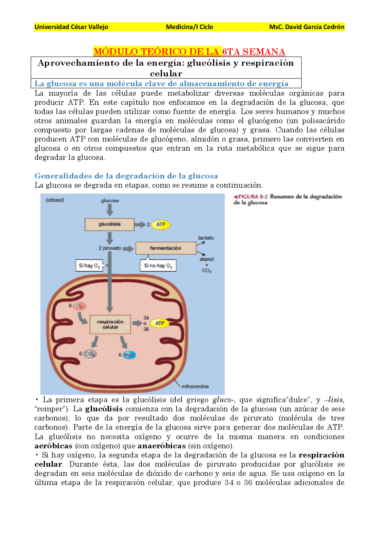 Respiración Celular Resúmenes De Biología Docsity