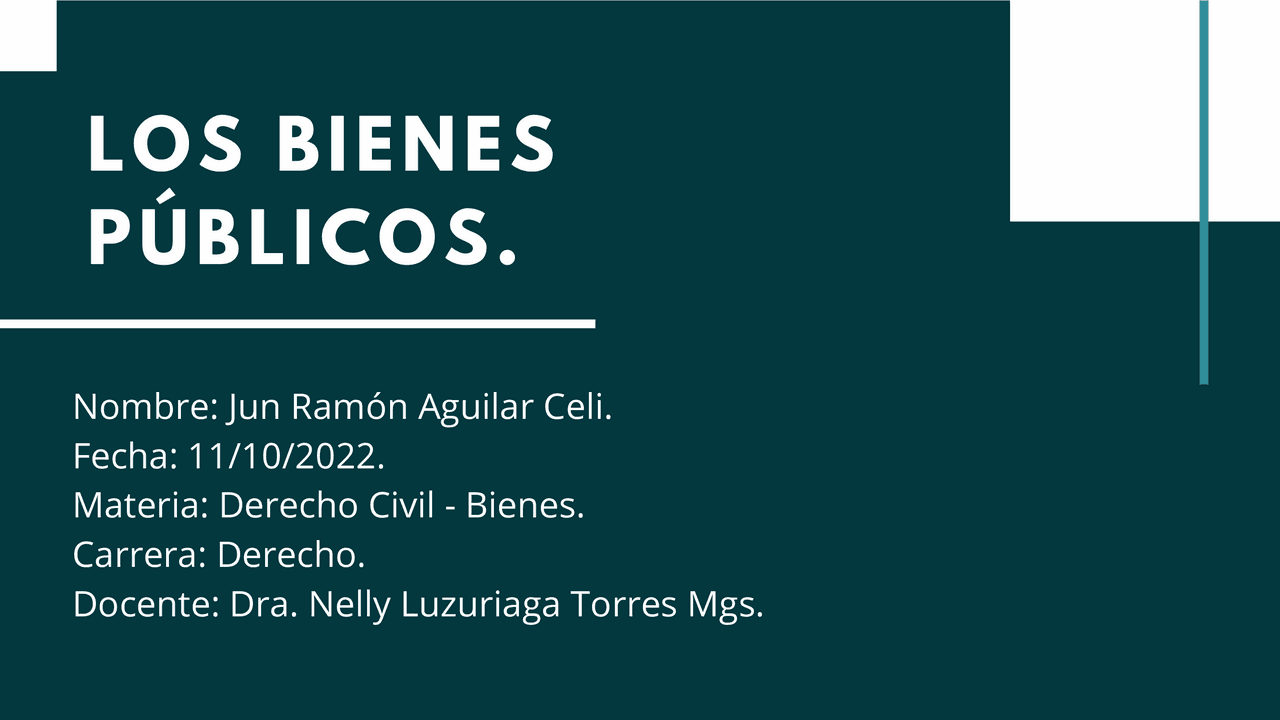 Derecho Bienes Y Su Concepto Resúmenes De Derecho Civil Docsity