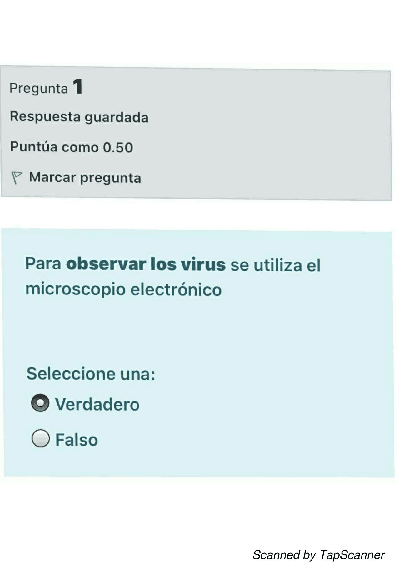 Primer Parcial Microbiología Apuntes De Microbiología Ambiental Docsity