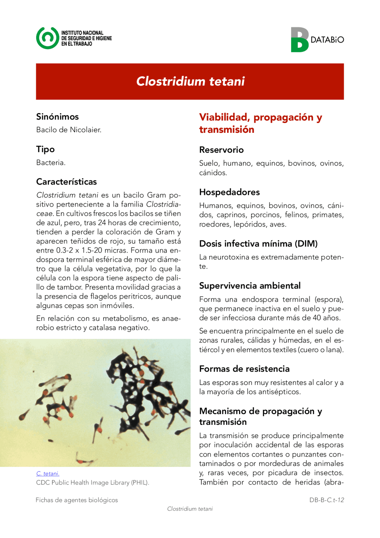 Material De Apoyo Para Clostridium Tetani Apuntes De Microbiología